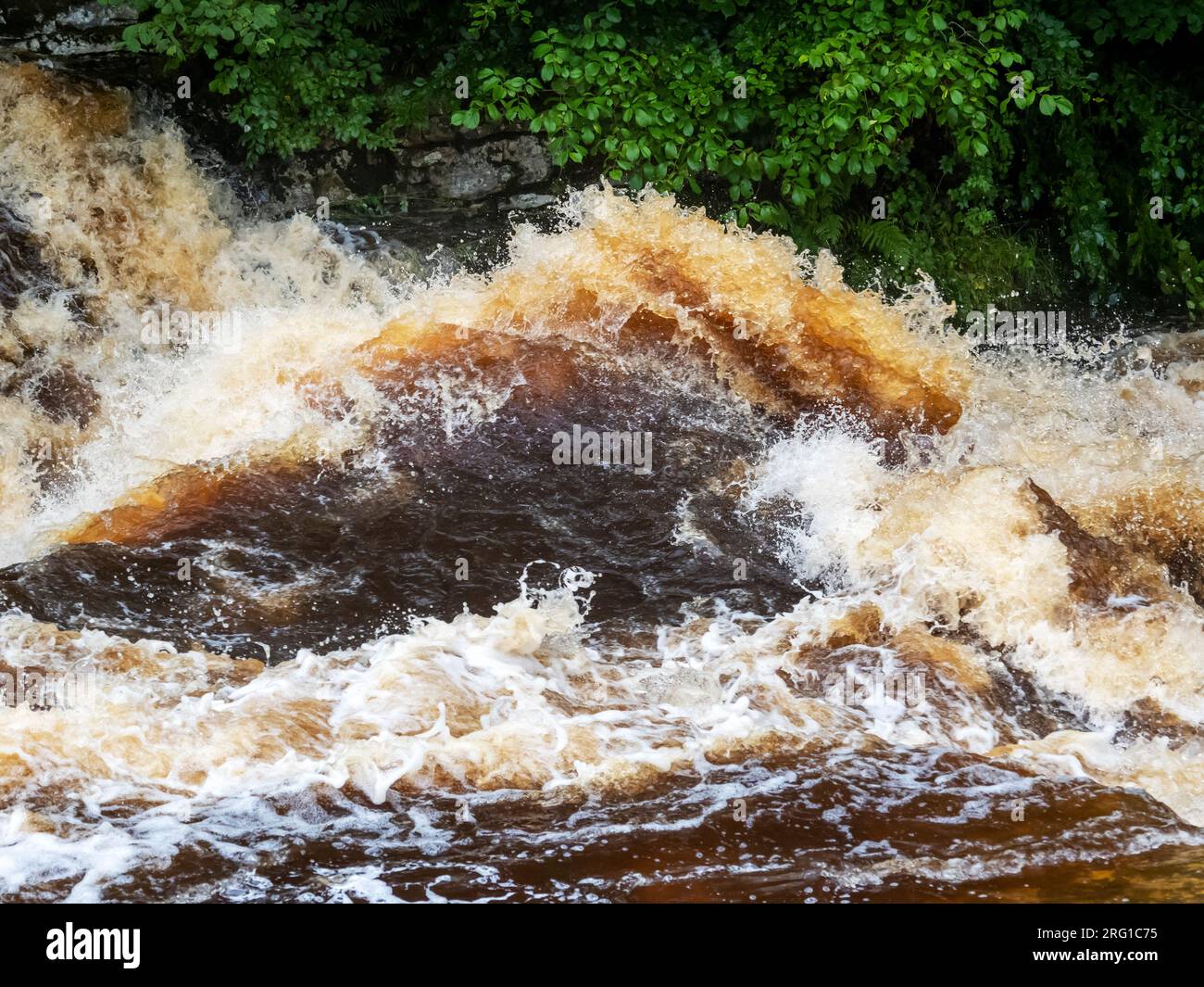 Peat stained flood waters in the River Ribble at Stainforth Force above ...