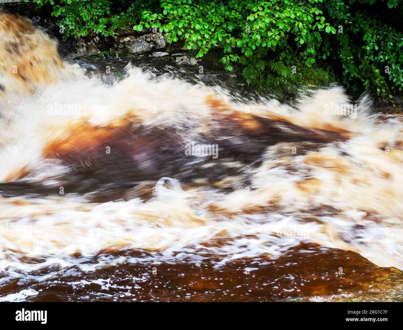 Peat stained flood waters in the River Ribble at Stainforth Force above ...