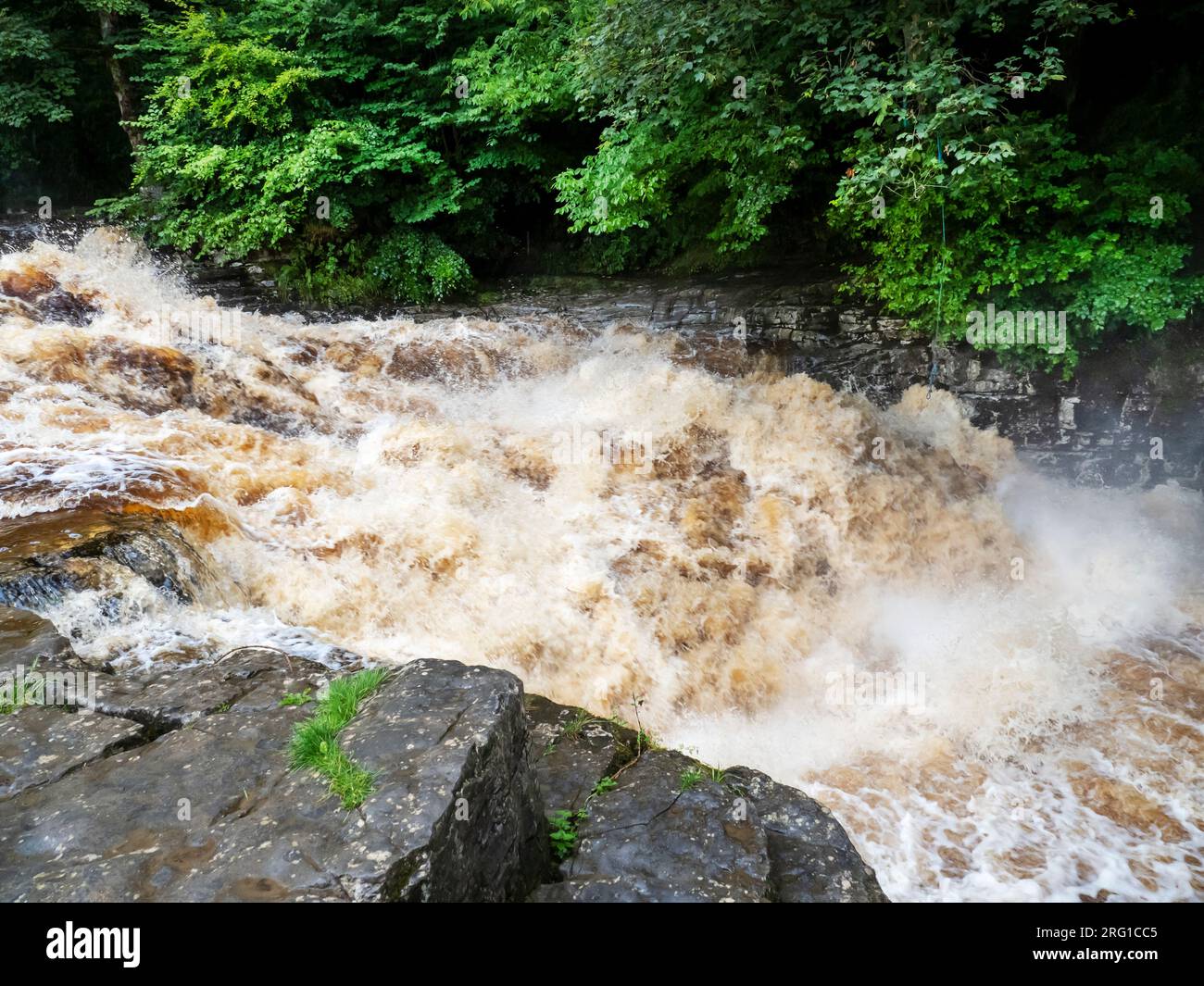 Peat stained flood waters in the River Ribble at Stainforth Force above ...