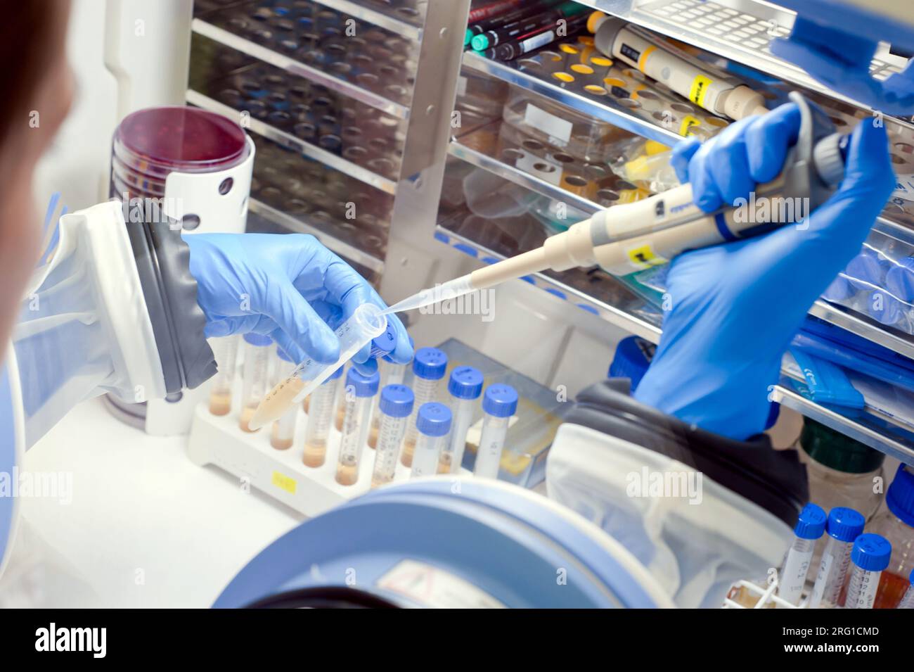 Lab technician performing test hi-res stock photography and images - Alamy