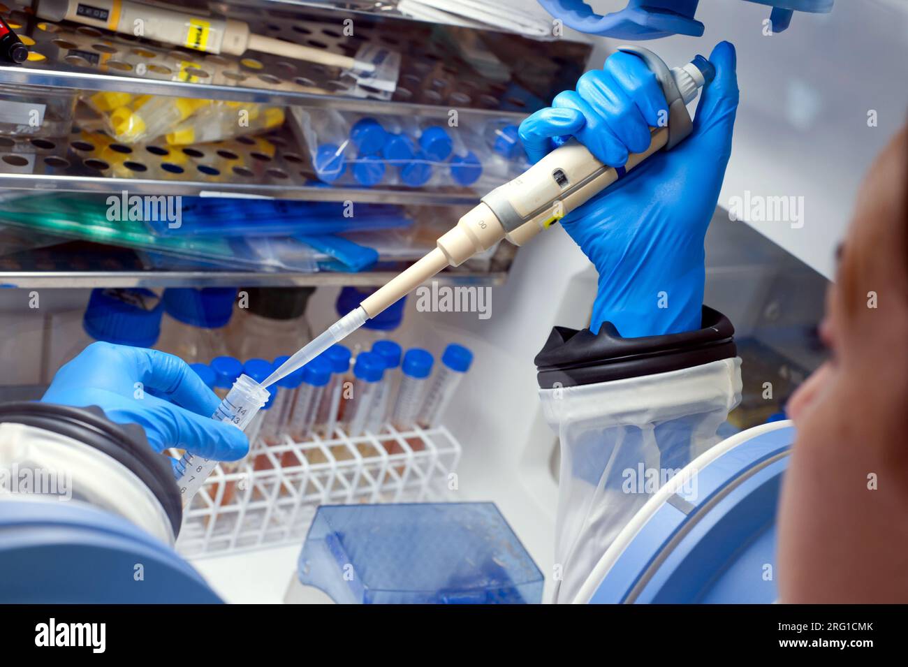scientist working with automatic pipette Stock Photo - Alamy