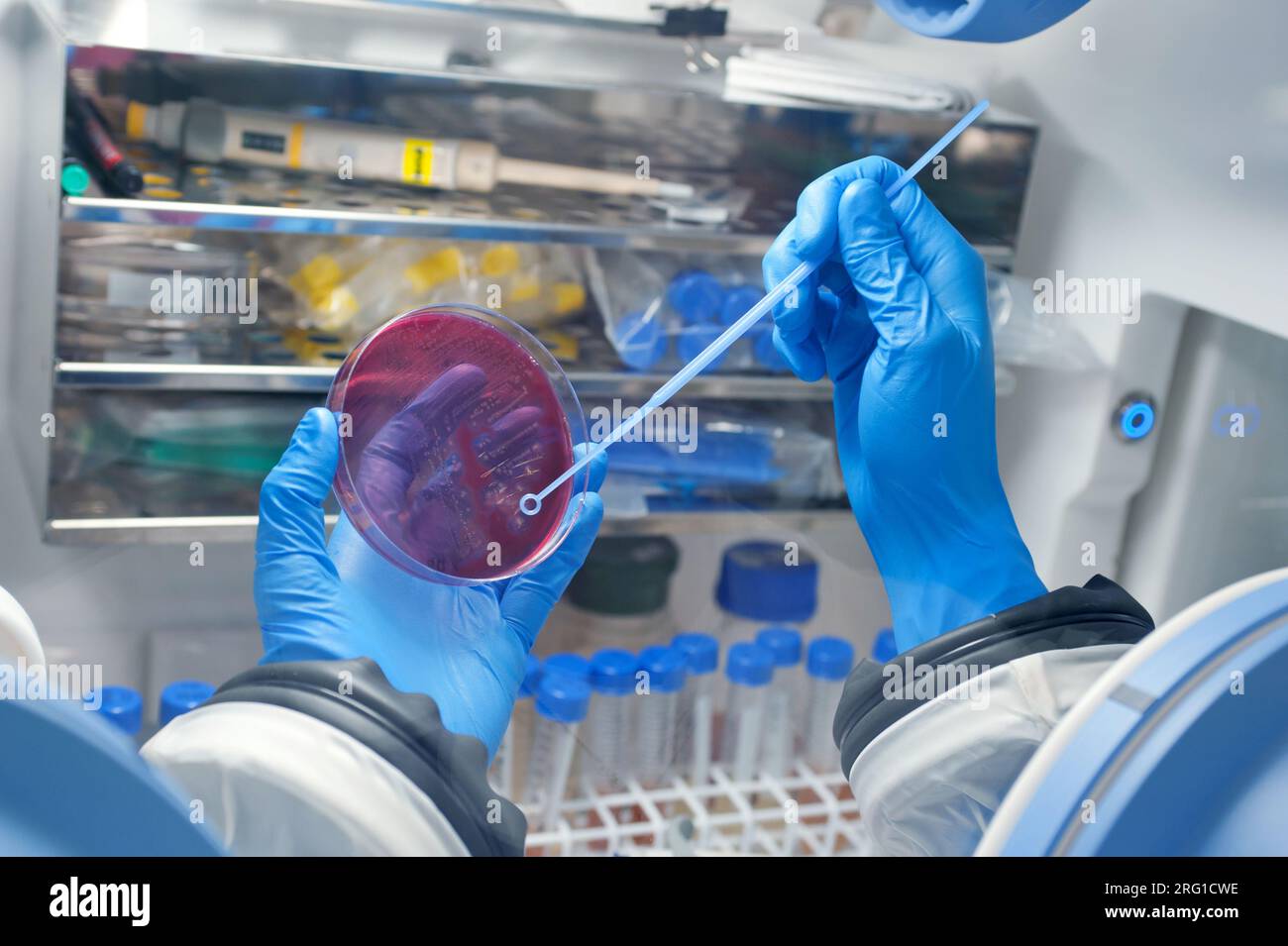 Microbiological loop hi-res stock photography and images - Alamy