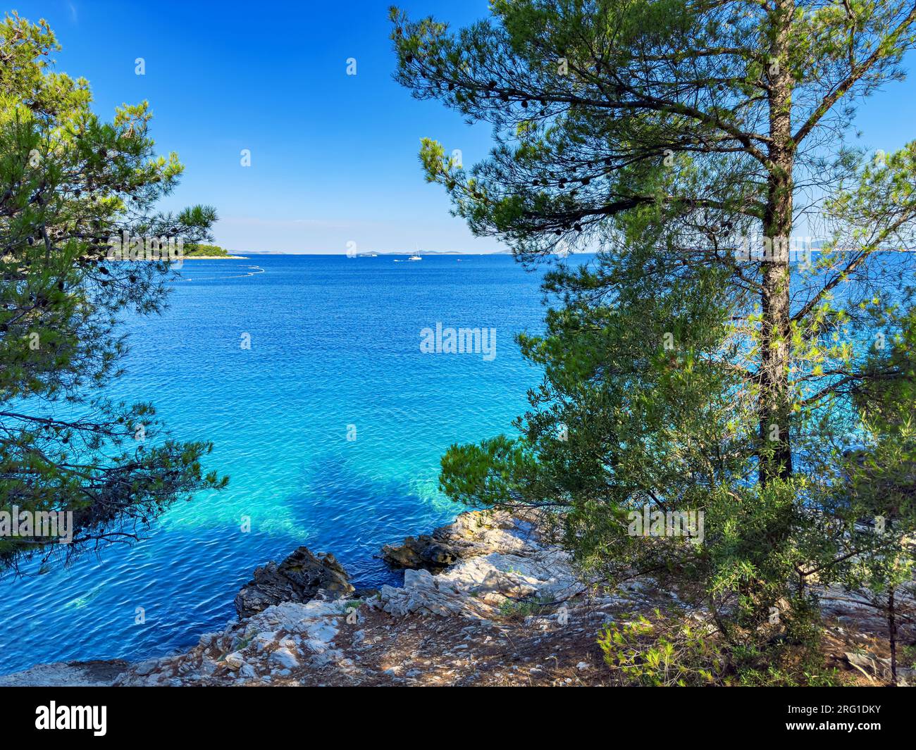 Seashore with trees hi-res stock photography and images - Alamy