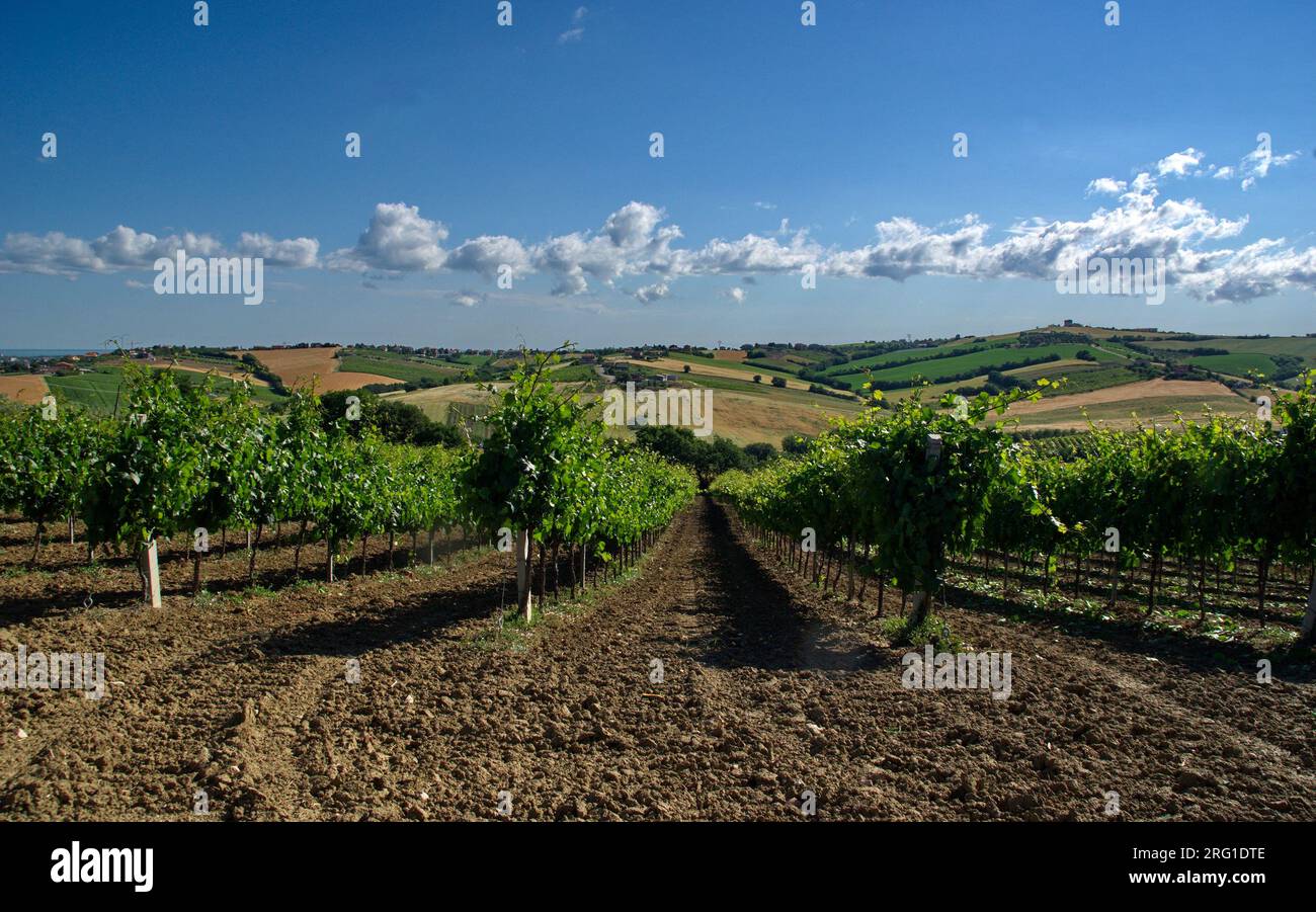 Campi di collina hi-res stock photography and images - Alamy
