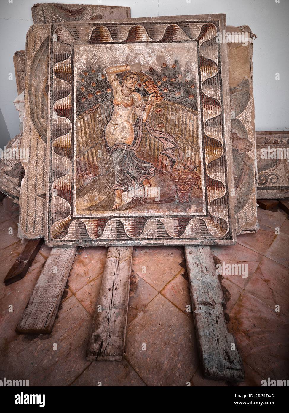 Carthage mosaic hi-res stock photography and images - Alamy
