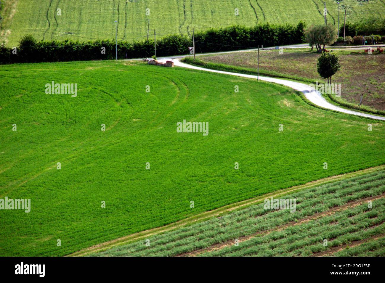 Campi di coltivazione hi-res stock photography and images - Alamy