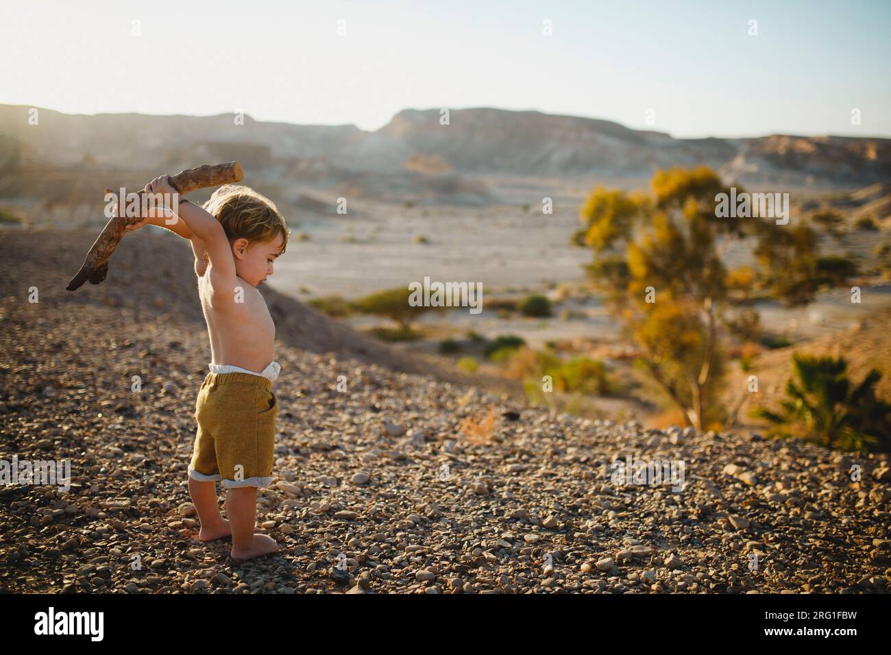 Toddler boy standing in desert raising a branch in the air Stock Photo ...