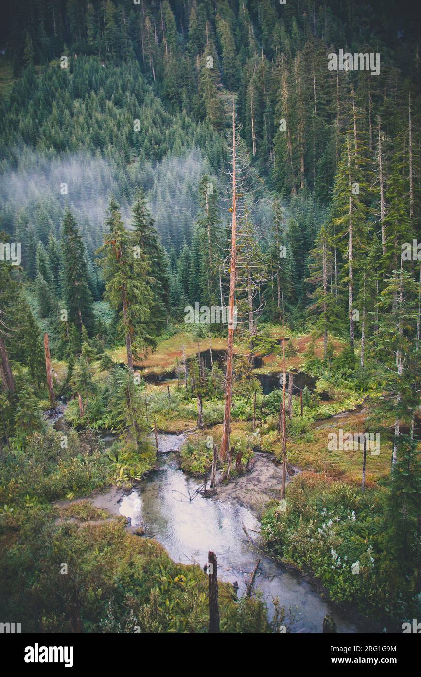 An aerial view of a small creek and wetland area Stock Photo - Alamy