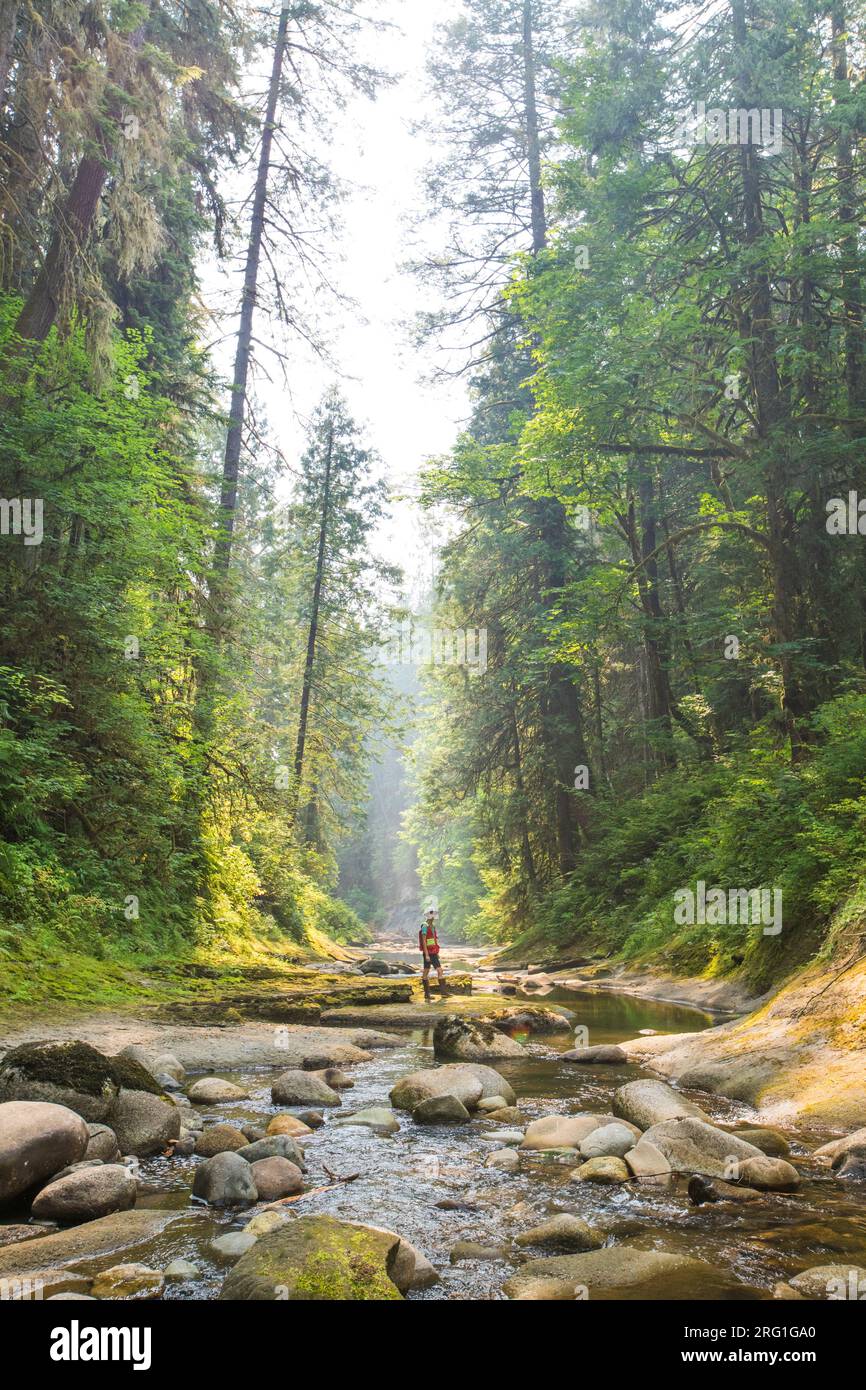 Biologist conducts a riparian biodiversity survey Stock Photo - Alamy