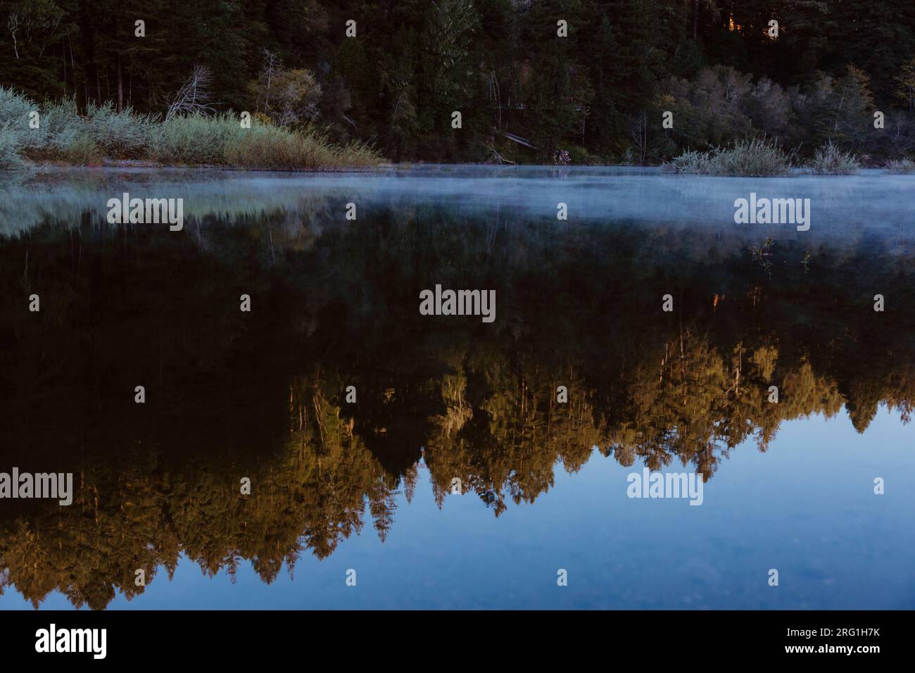 The stillness of the river hi-res stock photography and images - Alamy