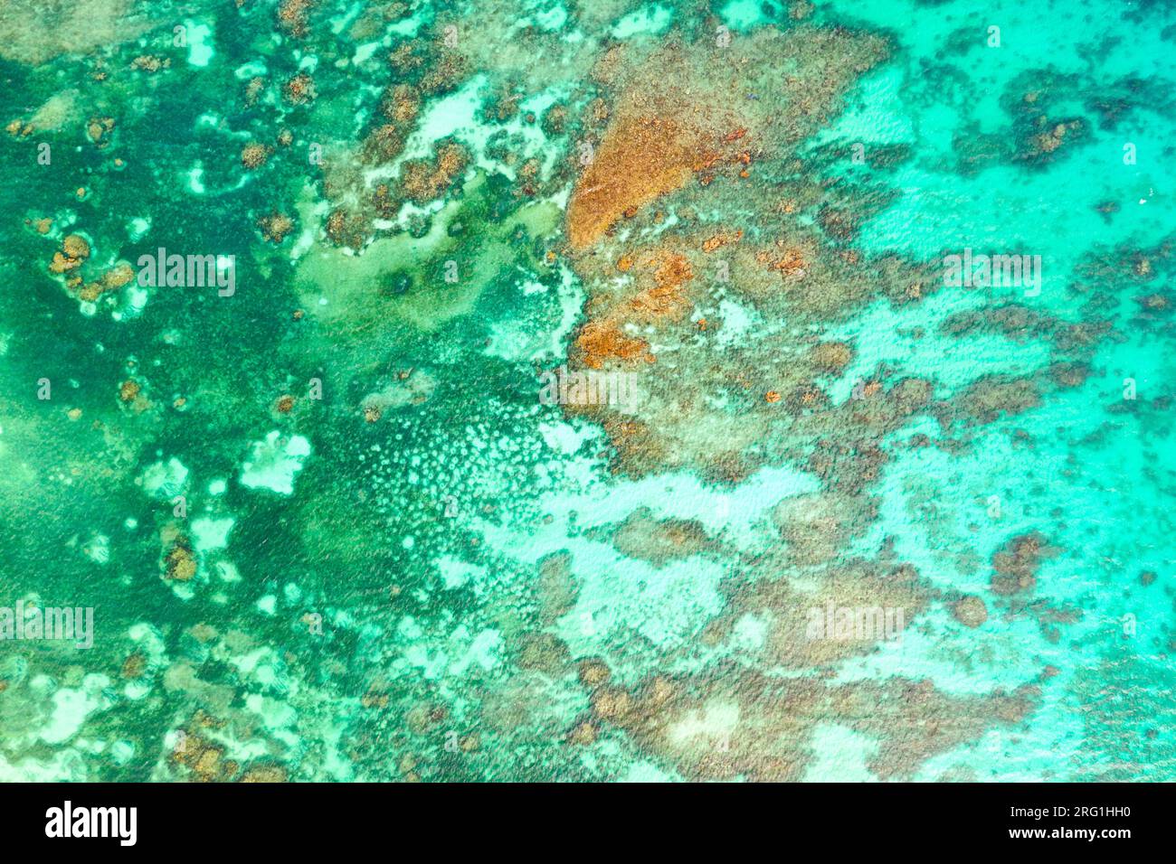 Coral reef in the transparent water of Caribbean sea from above Stock ...