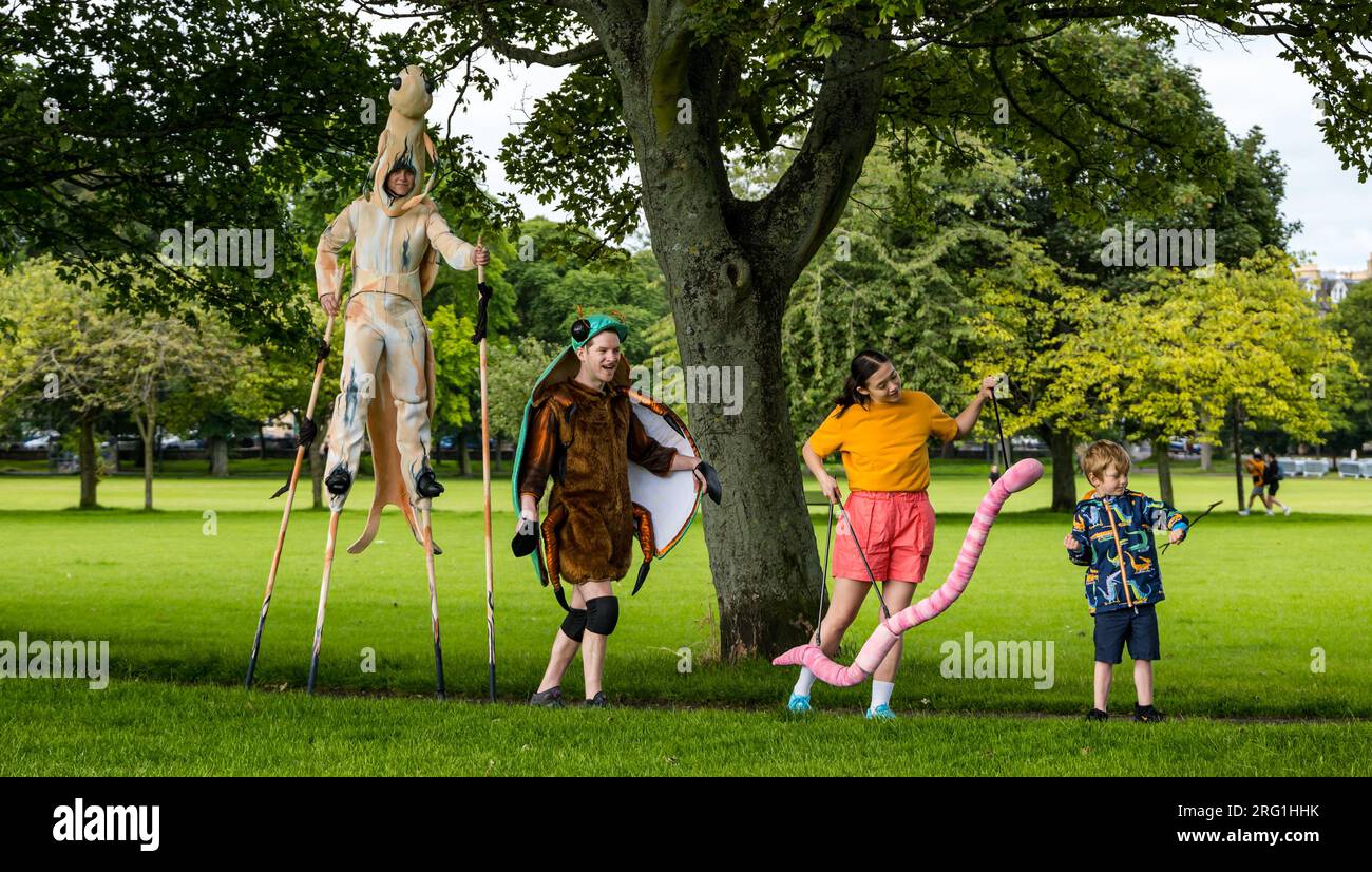 The Meadows, Edinburgh, Scotland, UK, 07 August 2023. Beetles at ...