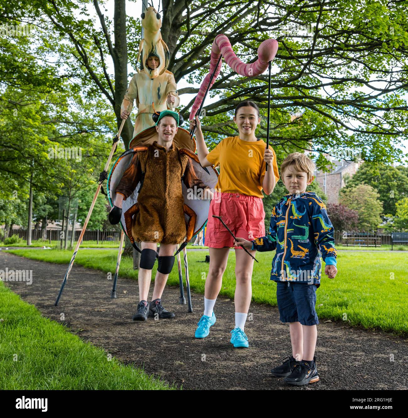 The Meadows, Edinburgh, Scotland, UK, 07 August 2023. Beetles at ...
