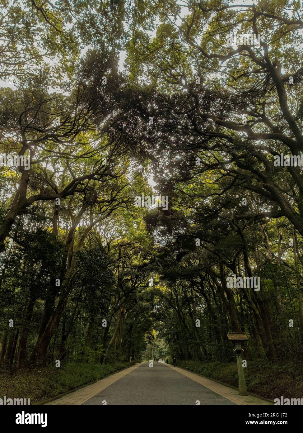 Green pathway hi-res stock photography and images - Alamy