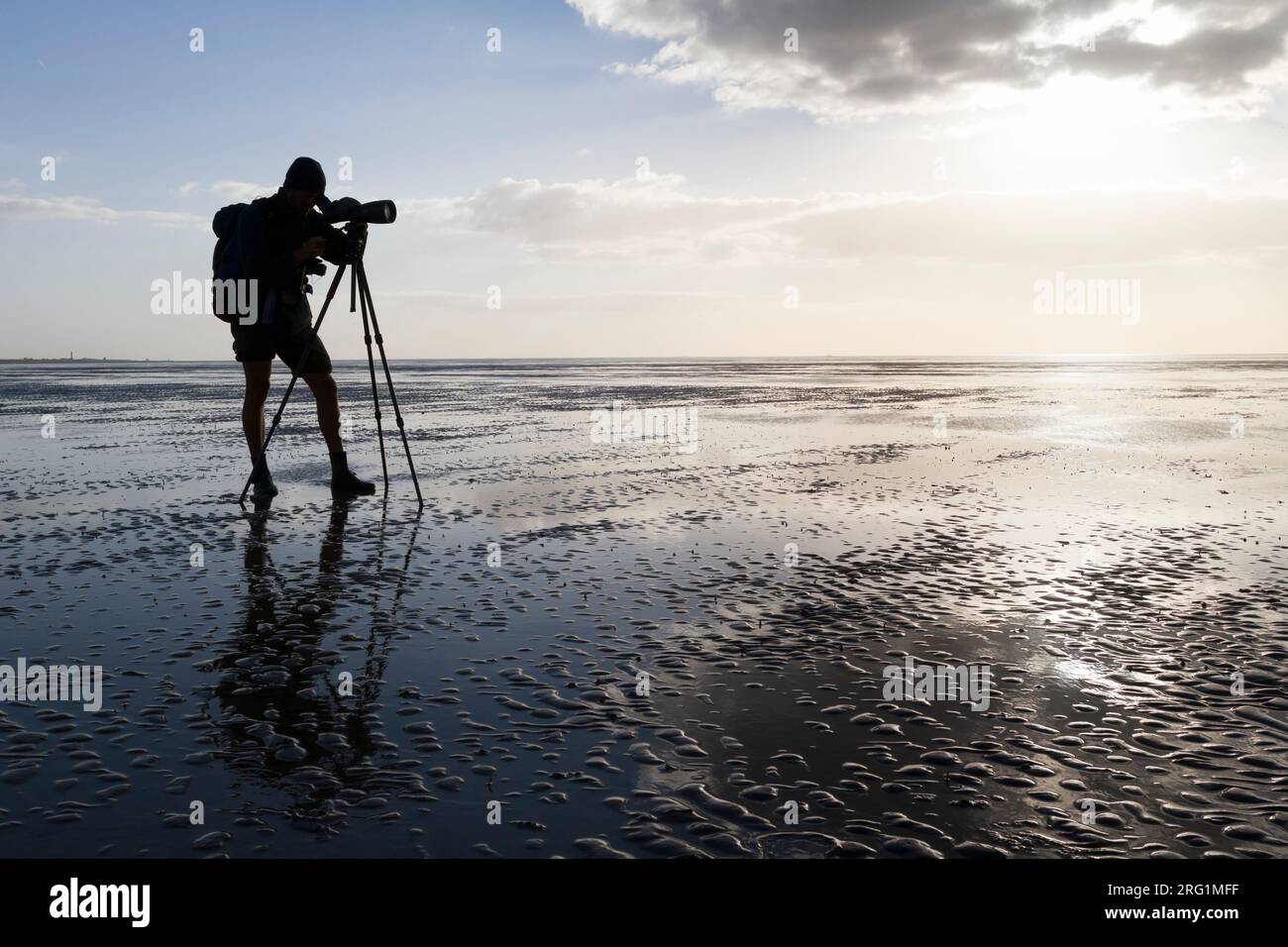 Birdwatcher counting birds in the Wadden Sea, Germany Stock Photo - Alamy