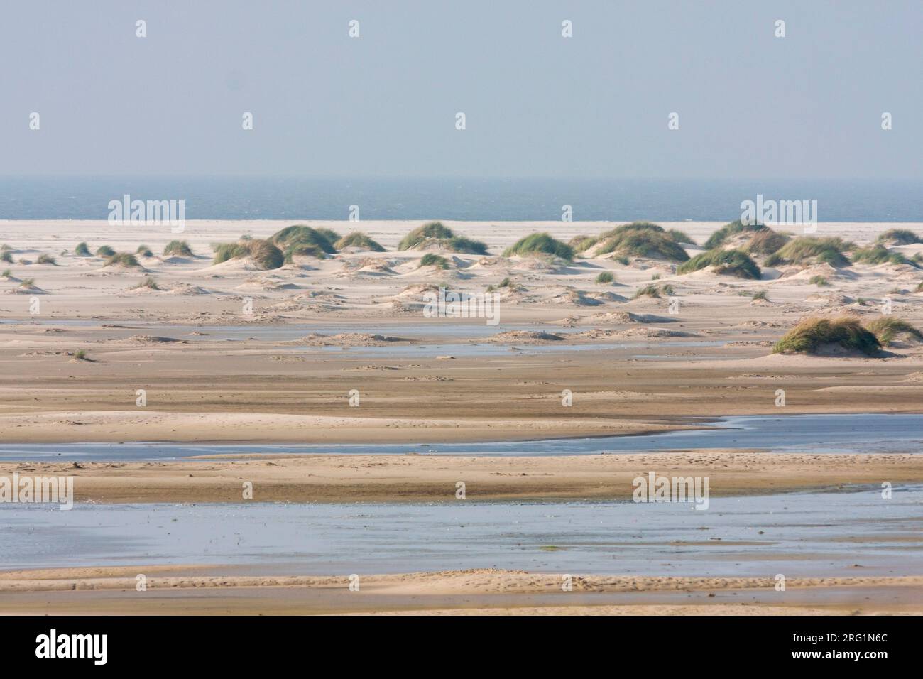 Amrum island in german hi-res stock photography and images - Alamy