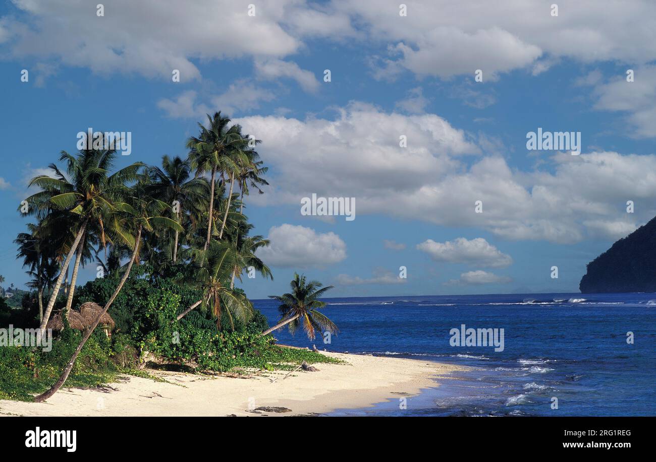 Aleipata hi-res stock photography and images - Alamy