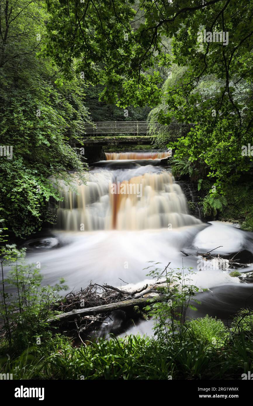 Waterfall Into Black Hole