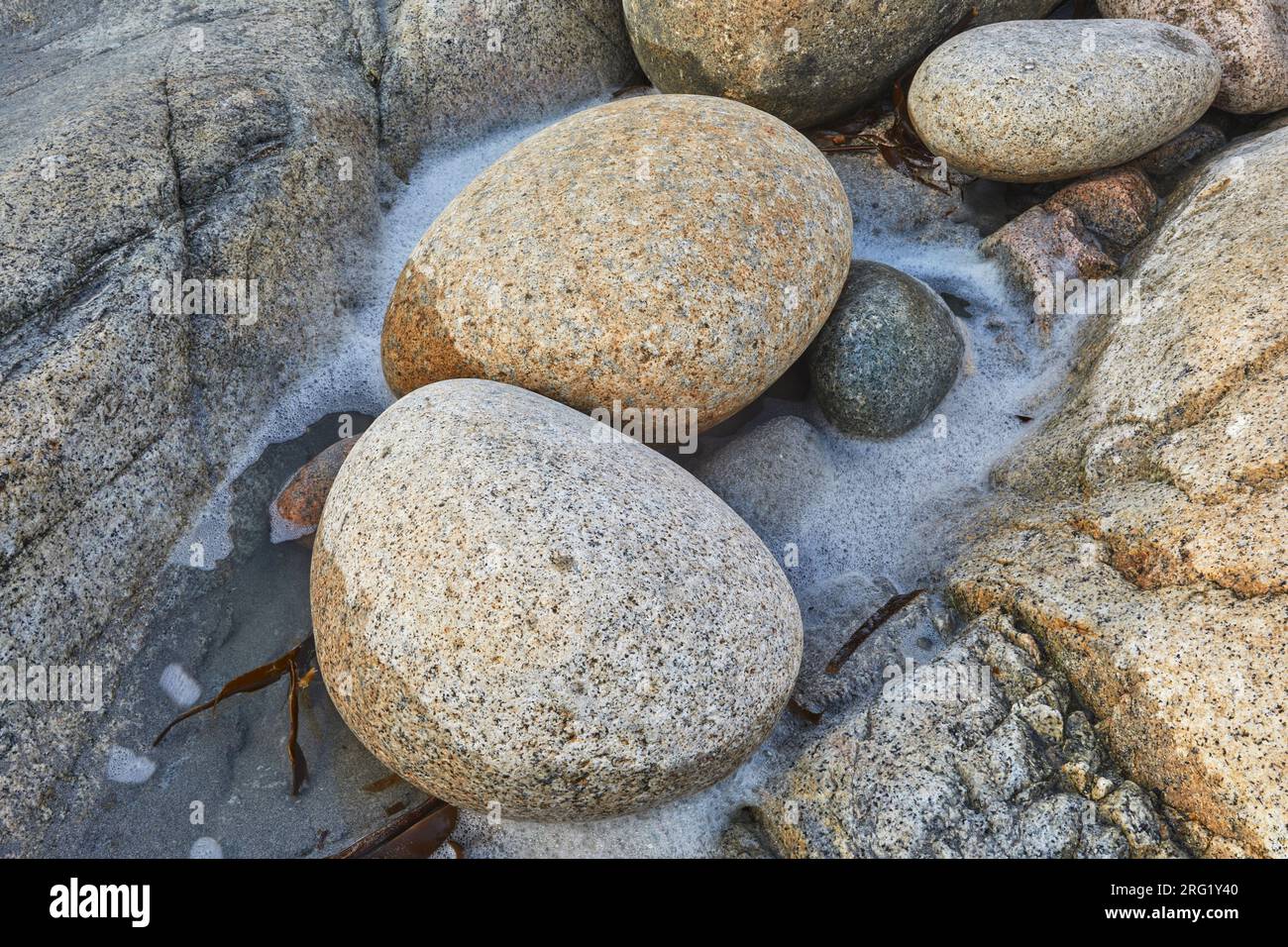 A close-up of rounded boulders in a cove on the Atlantic coast of the ...