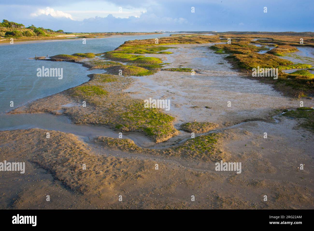 Tidel estuary hi-res stock photography and images - Alamy