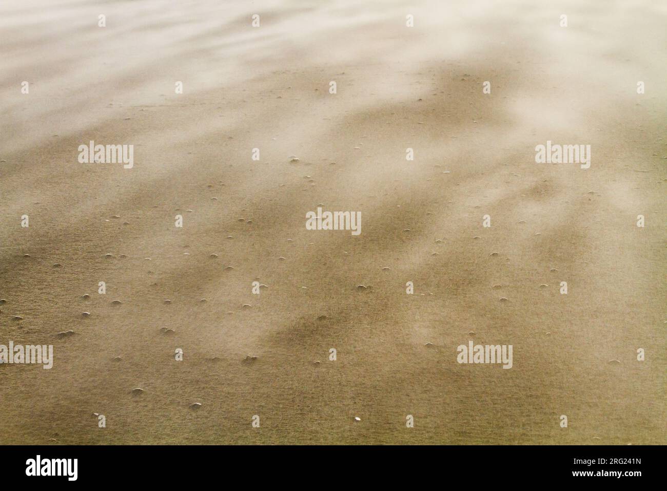 Drifting sand in storm wind blowing over the beach Stock Photo - Alamy