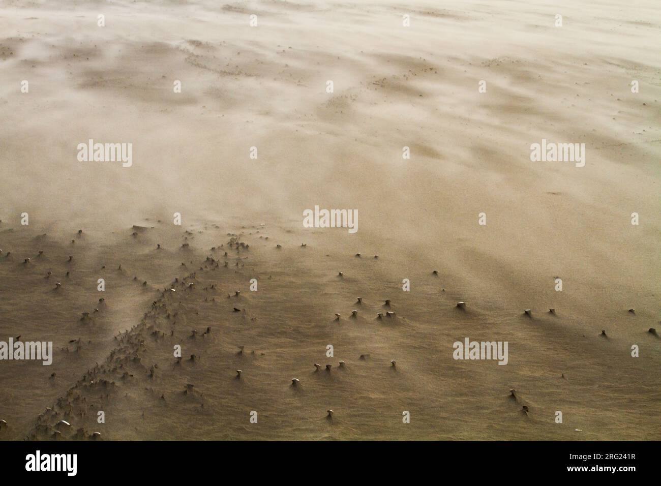 Drifting sand in storm wind blowing over the beach Stock Photo - Alamy