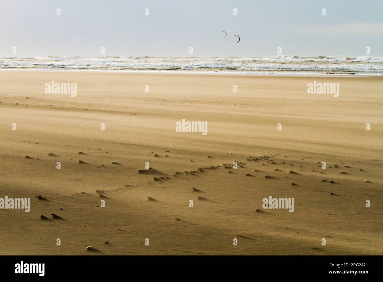Drifting sand in storm wind blowing over the beach Stock Photo - Alamy