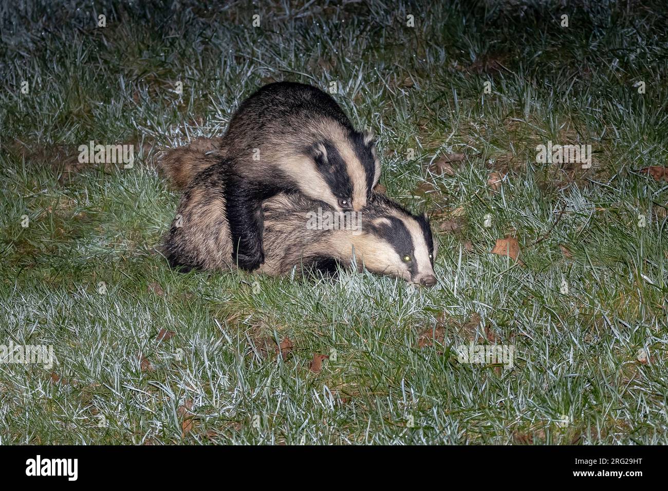 Yvoir belgium hi-res stock photography and images - Alamy