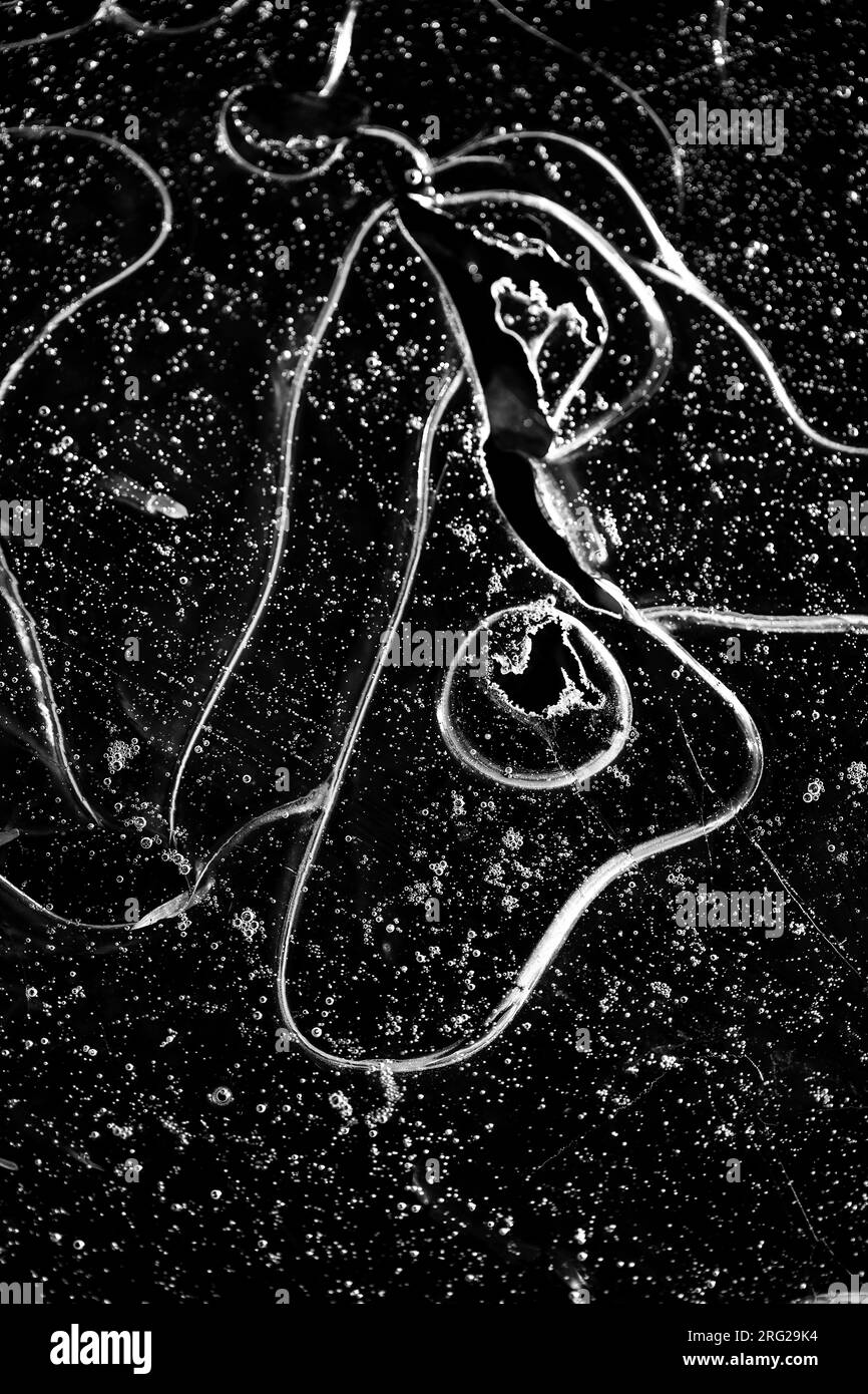 Close up ice crystals on Black and White Stock Photos & Images - Alamy