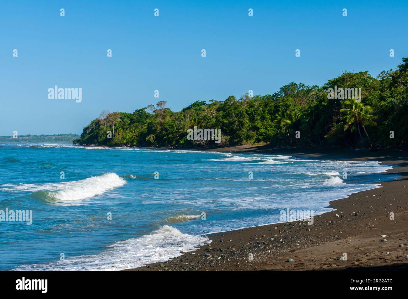 Tropical forests and surging waves on a beach at Corcovado National Park. Corcovado National ...