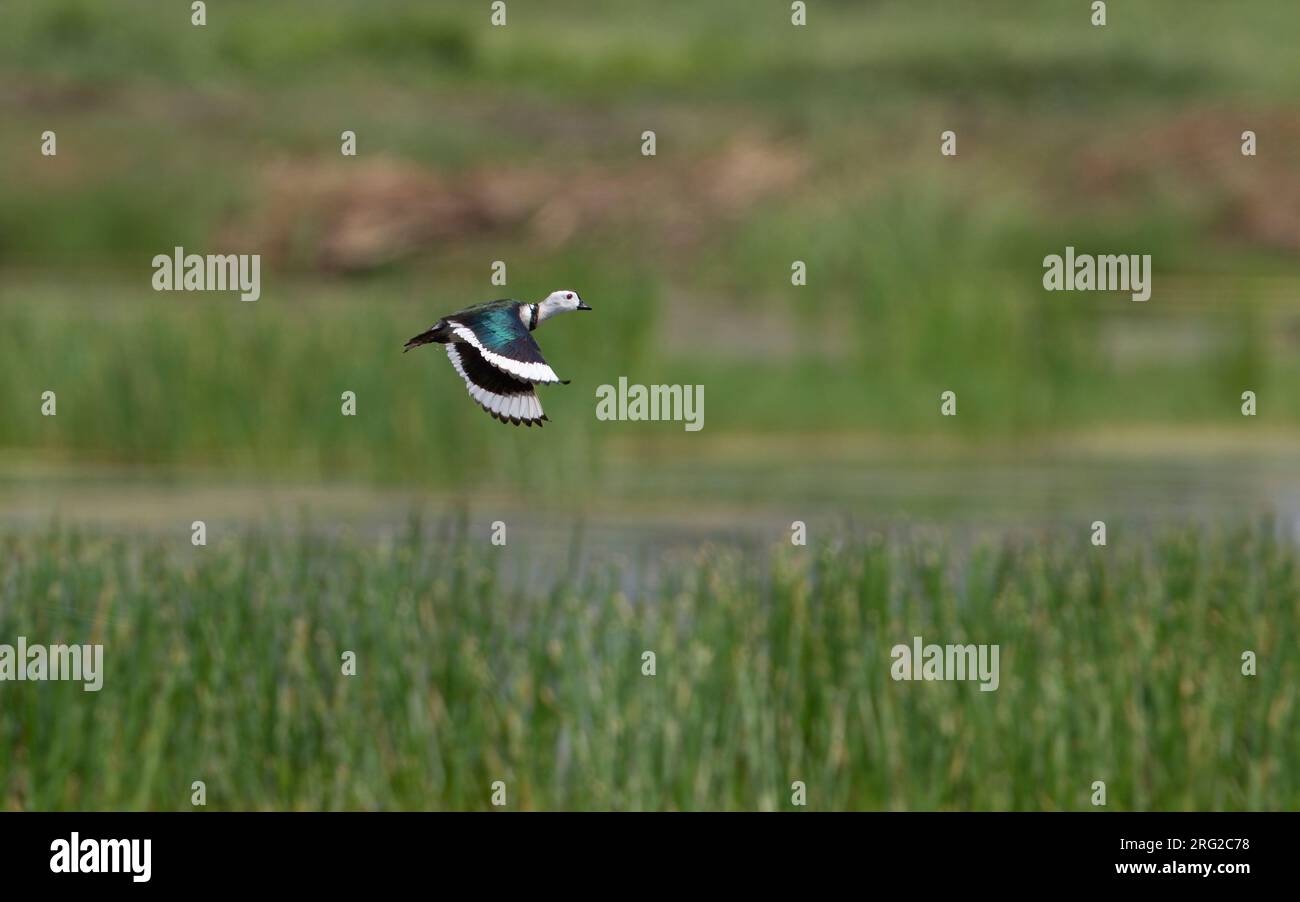 Muang boran hi-res stock photography and images - Alamy