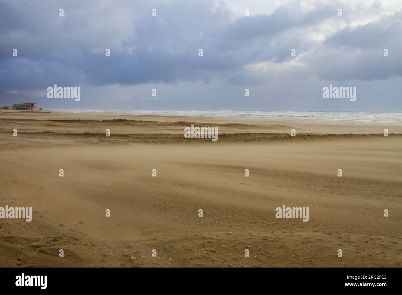 Beach, coast, dunes of north sea during cold spring storm with hail ...