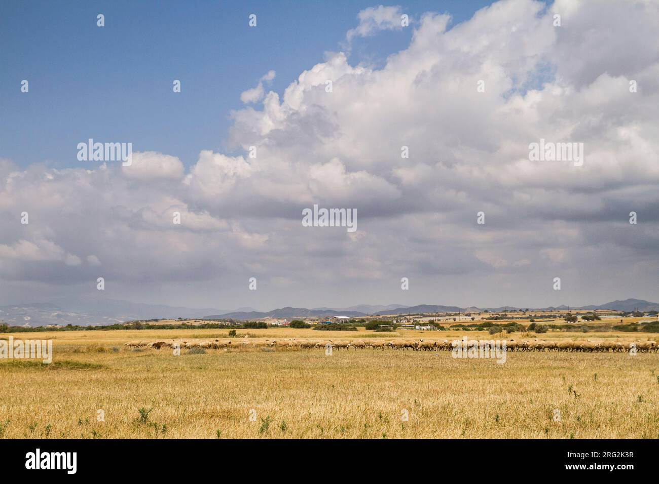 Landscape of Mediterranean island Cyprus Stock Photo - Alamy
