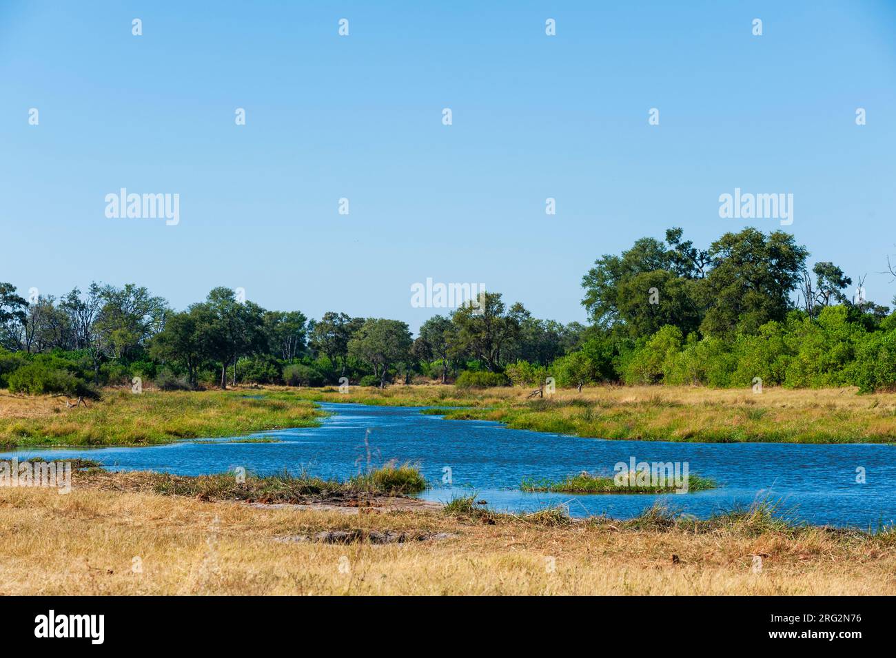 A view of Khwai River and an Okavango Delta landscape. Khwai River ...