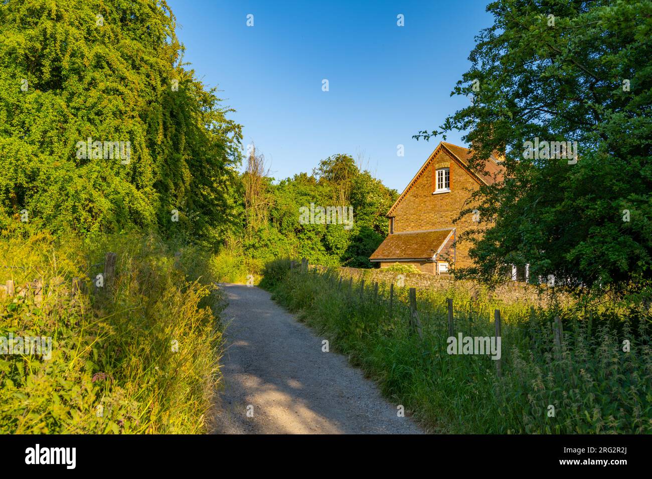 Summer evening in Loose valley Maidstone Kent Stock Photo - Alamy