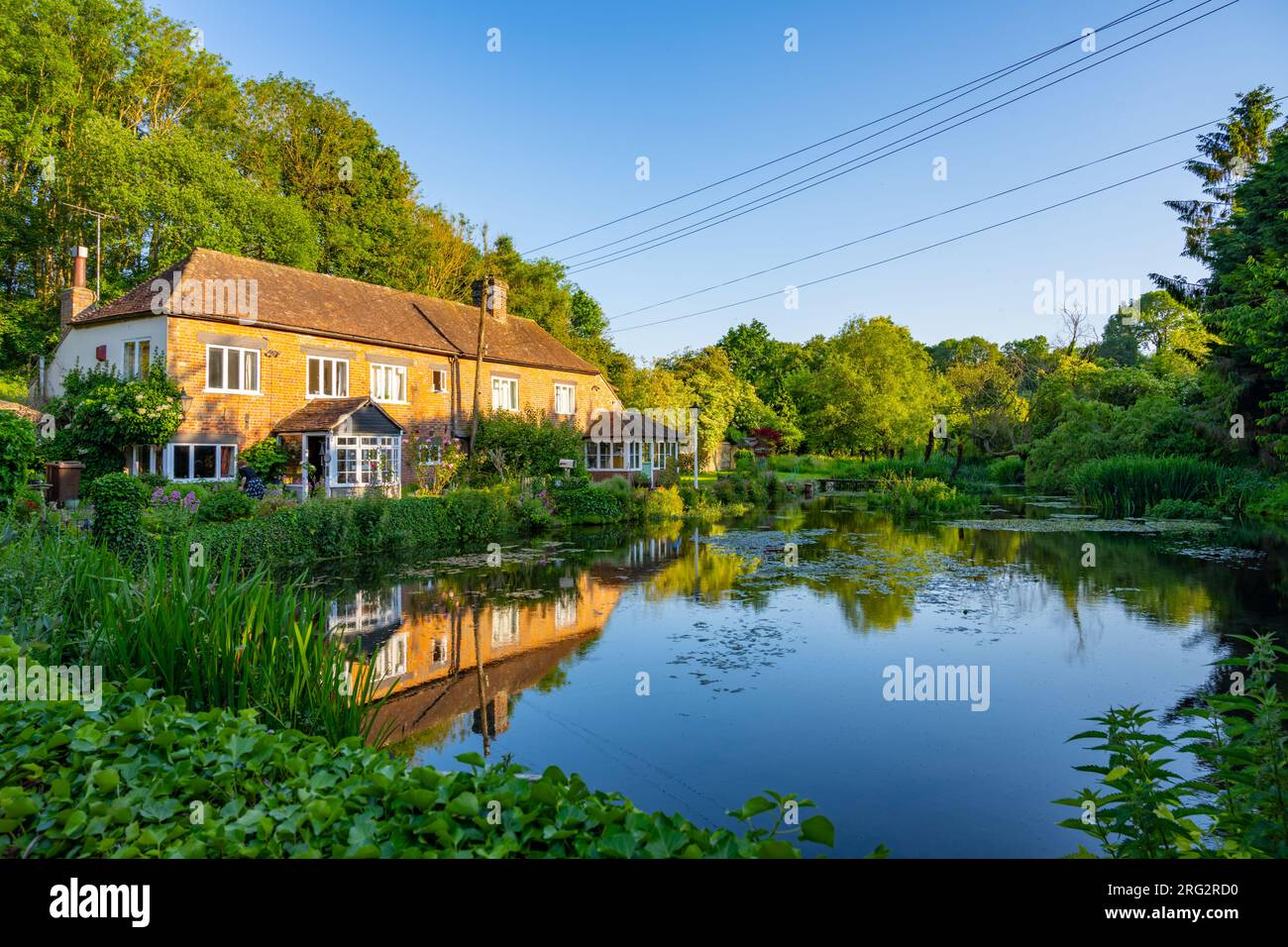 Summer evening in Loose valley, Loose Valley Conservation Area ...