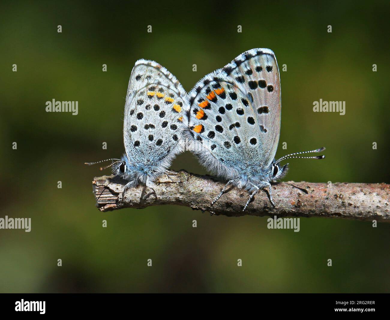 Signes signes hi-res stock photography and images - Alamy