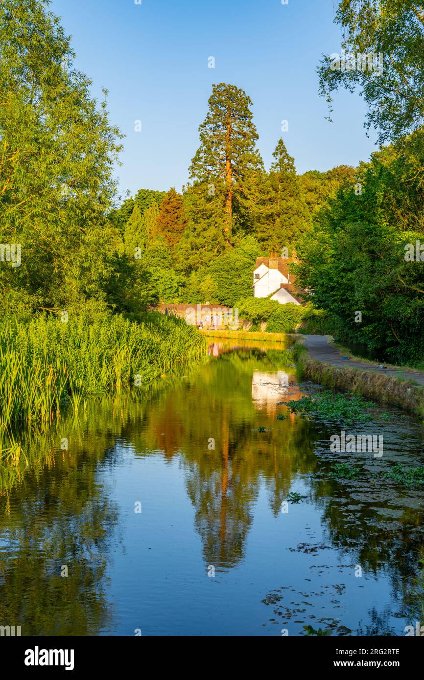 Mill ponds hi-res stock photography and images - Alamy