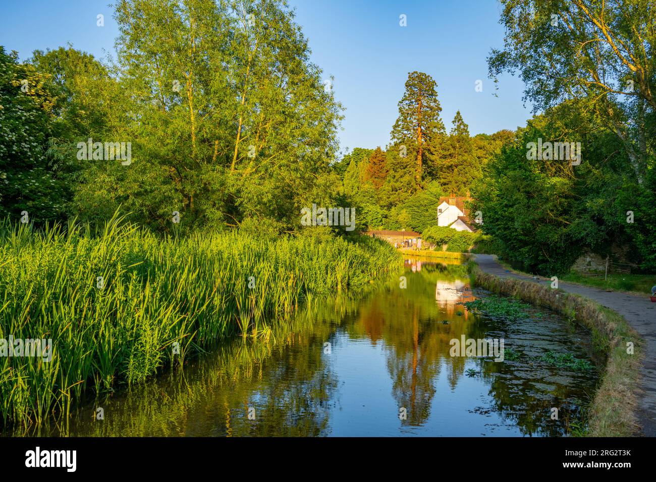 Summer evening with the mill ponds and the Brooks Path in Loose valley ...