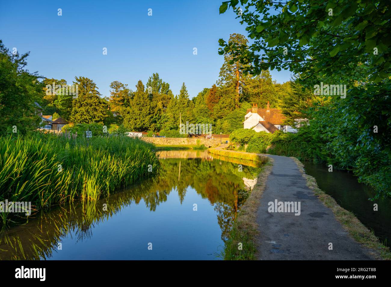 Summer evening with the mill ponds and the Brooks Path in Loose valley ...