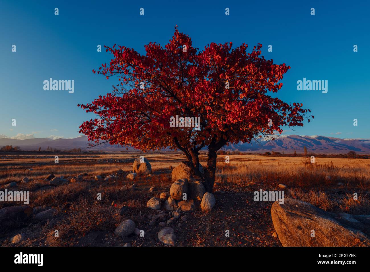 Nature landscaped view hi-res stock photography and images - Alamy