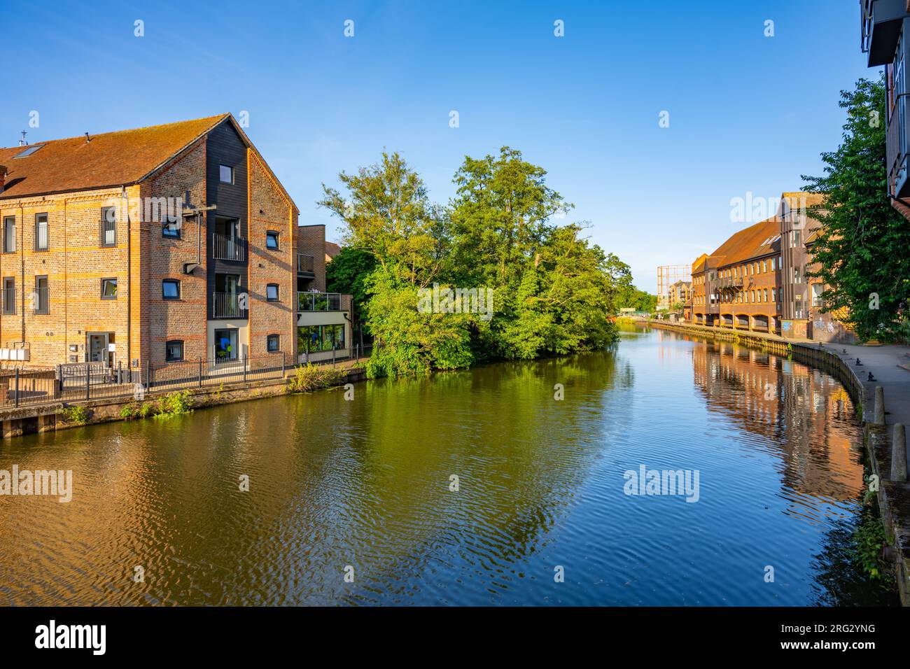 Summer evening on the river Medway, Tonbridge Kent Stock Photo - Alamy