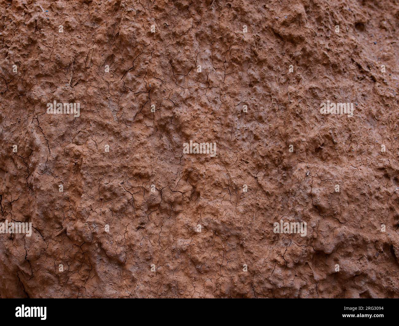 Dry natural texture hi-res stock photography and images - Alamy
