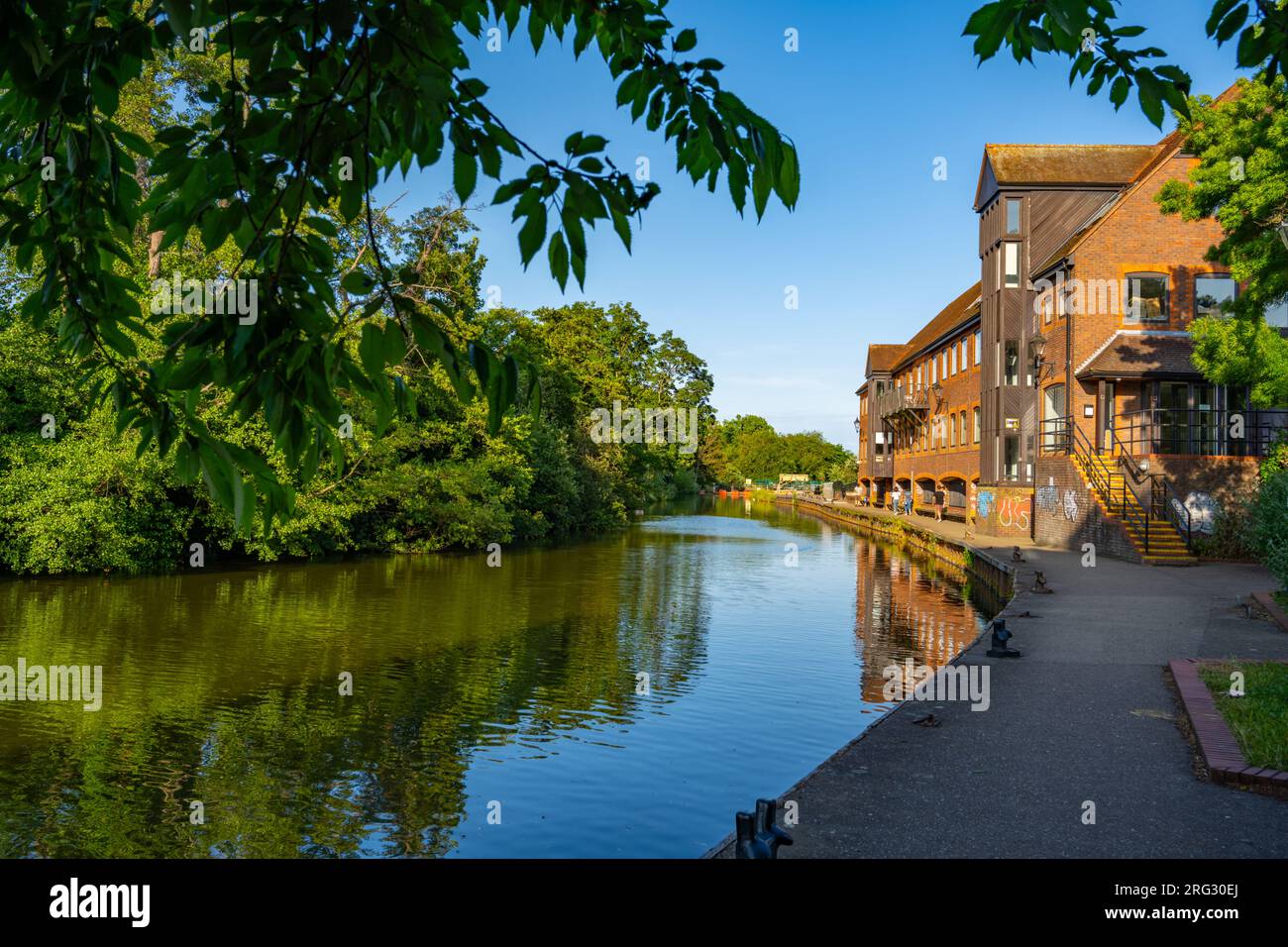 Summer evening on the river Medway, Tonbridge Kent Stock Photo - Alamy