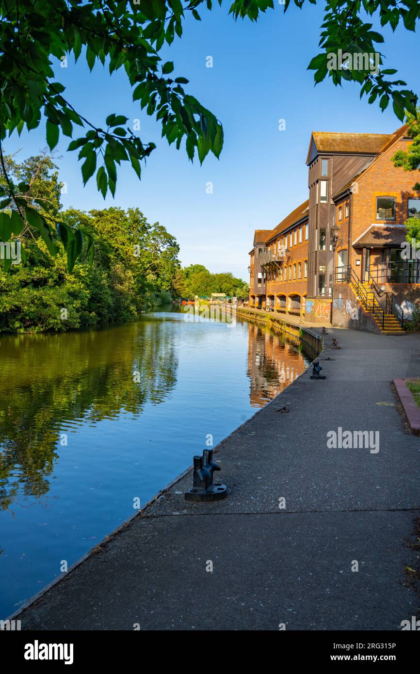 Summer evening on the river Medway, Tonbridge Kent Stock Photo - Alamy