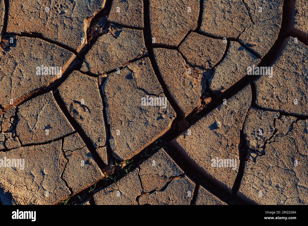 Cracked ground in desert close-up Stock Photo - Alamy