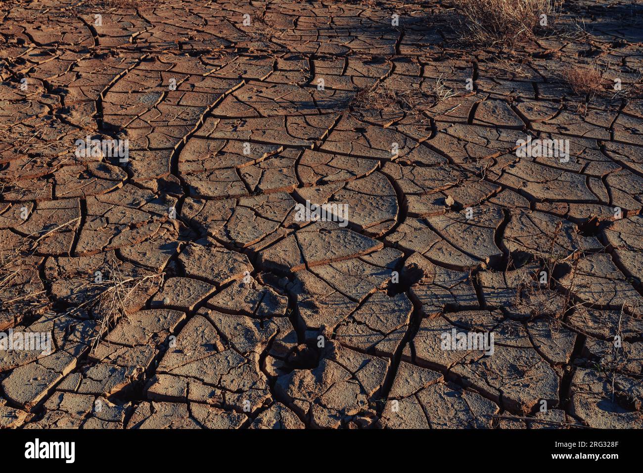 Cracked ground in desert at sunset Stock Photo - Alamy