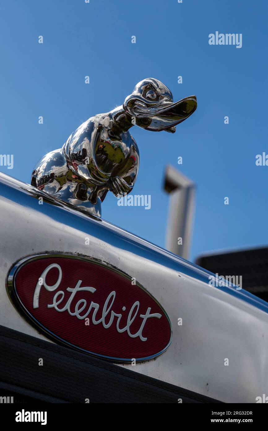 Truck Art. 47th Annual Gloucestershire Vintage and Country Extravaganza ...