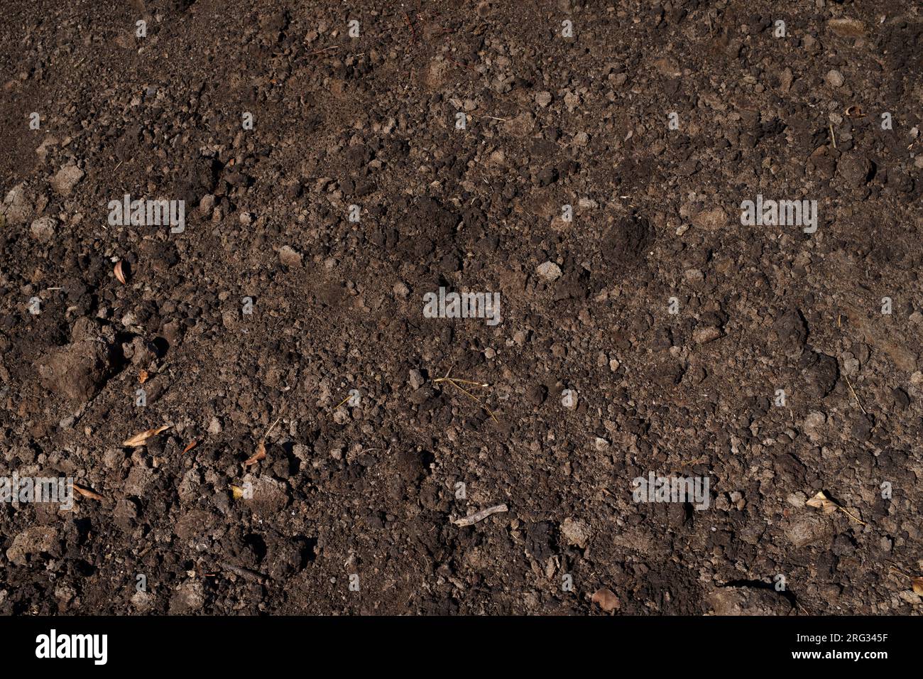 Soil texture dry hi-res stock photography and images - Alamy