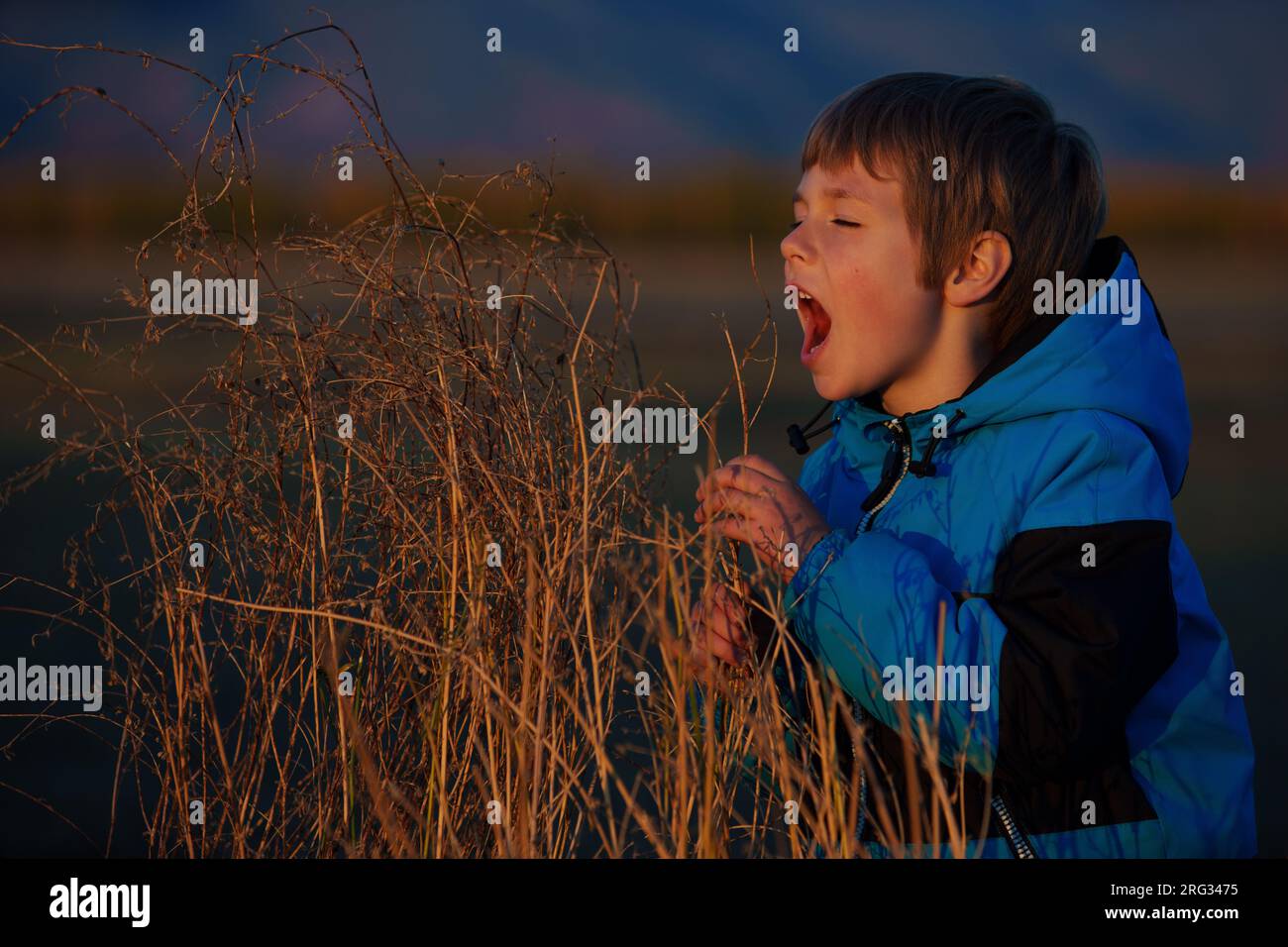 Boy bite hi-res stock photography and images - Alamy